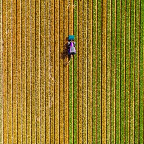 Investing in Climate Resilience - Green Infrastructure - Infrastructure ...