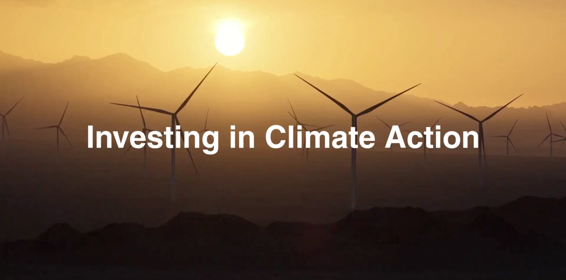 Investing in Climate Action