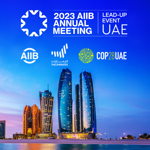 Mobilizing Financing from Sovereign Wealth Funds and Institutional ...