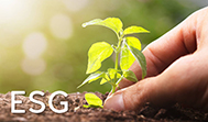 AIIB Quarterly Update : January 2019